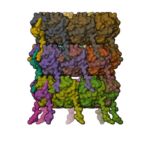 RCSB PDB - 8OPA: Virus-like Particle based on PVY coat protein with ...