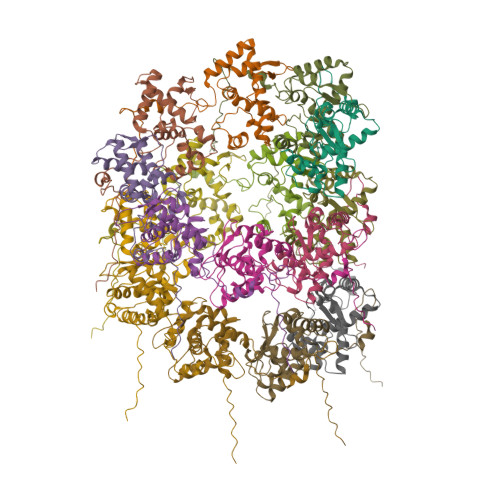 RCSB PDB - 8OPB: Virus-like Particle based on PVY coat protein with RNA ...