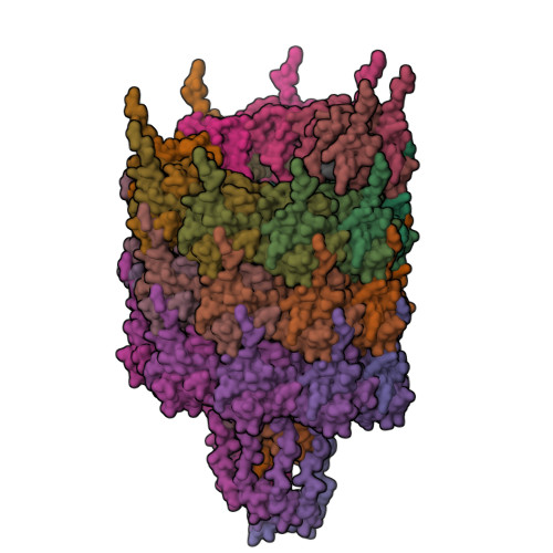 RCSB PDB - 8OPC: Virus-like Particle based on PVY coat protein with ...