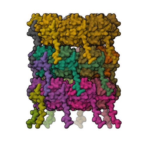 RCSB PDB - 8OPD: Virus-like Particle based on PVY coat protein with ...
