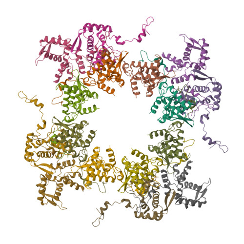 RCSB PDB - 8OPK: Local refinement of cubic assembly from truncated PVY ...