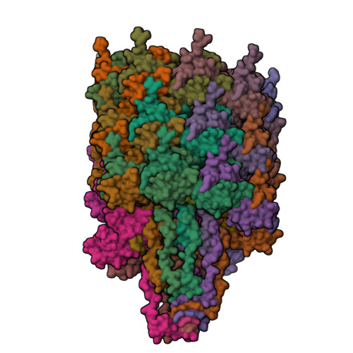 RCSB PDB - 8OPL: Virus-like Particle based on PVY coat protein with ...