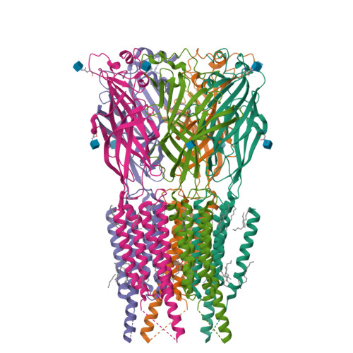RCSB PDB - 8OQ8: CryoEM structure of human rho1 GABAA receptor in ...
