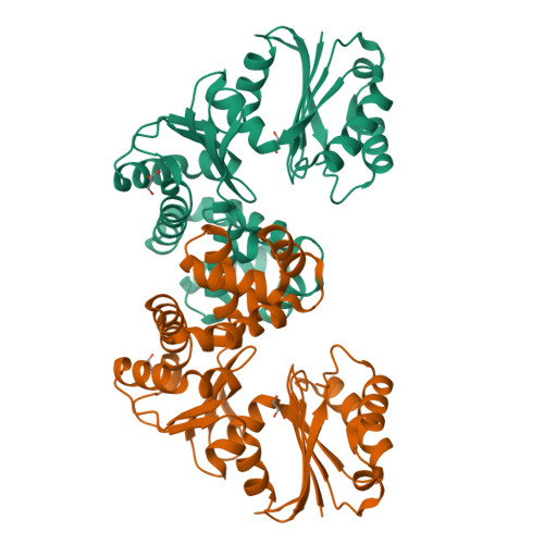 RCSB PDB - 8OQK: Crystal structure of Tannerella forsythia sugar kinase ...
