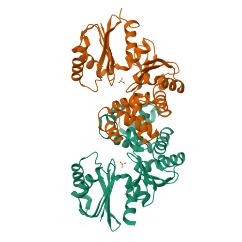 RCSB PDB - 8OQW: Crystal structure of Tannerella forsythia MurNAc ...