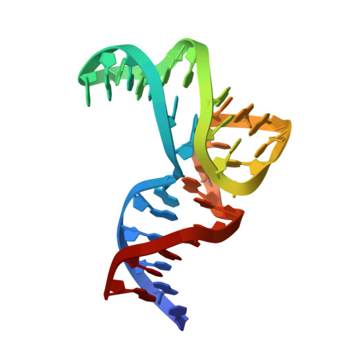 RCSB PDB - 8OR8: Solution structure of the 8-17 DNAzyme in presence of Zn2+