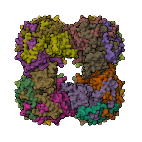 RCSB PDB - 8ORB: 24-meric catalytic domain of dihydrolipoamide ...