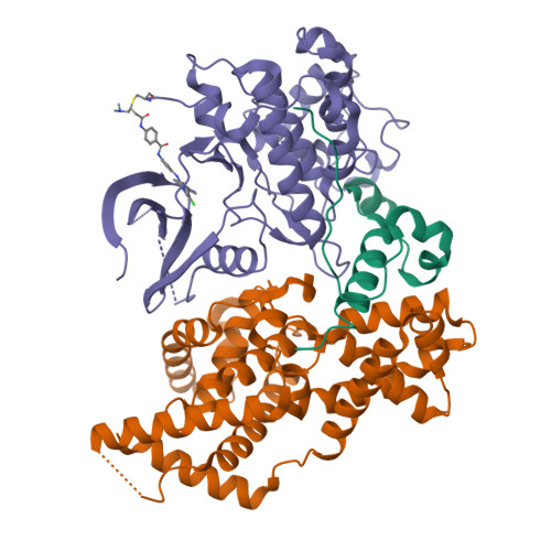 RCSB PDB - 8ORM: Cryo-EM structure of CAK-THZ1
