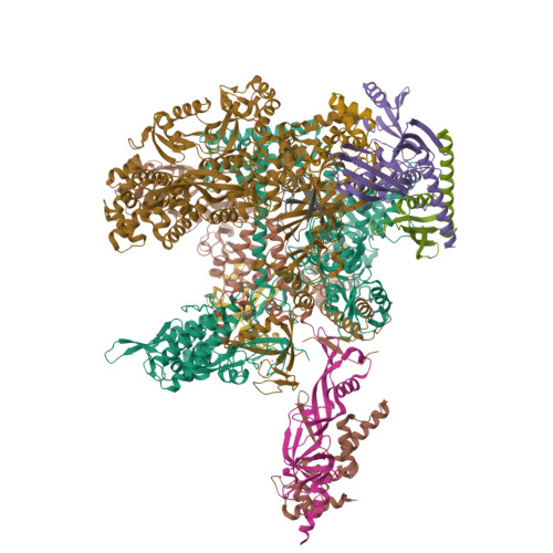 RCSB PDB - 8ORQ: Cryo-EM structure of Pyrococcus furiosus apo form RNA ...