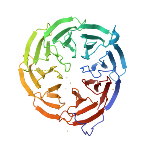 RCSB PDB - 8ORR: Outer membrane protein assembly factor BamB from ...