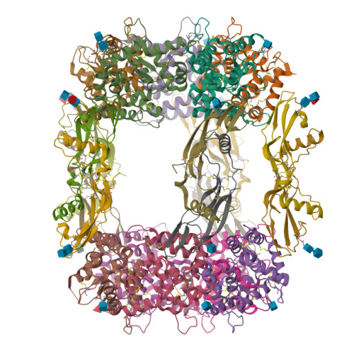 RCSB PDB - 8OS6: Structure of a GFRA1/GDNF LICAM complex