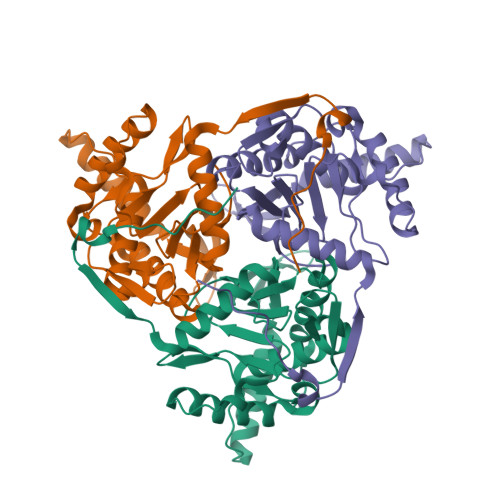 RCSB PDB - 8OSY: Trimeric catalytic domain of the E. coli ...