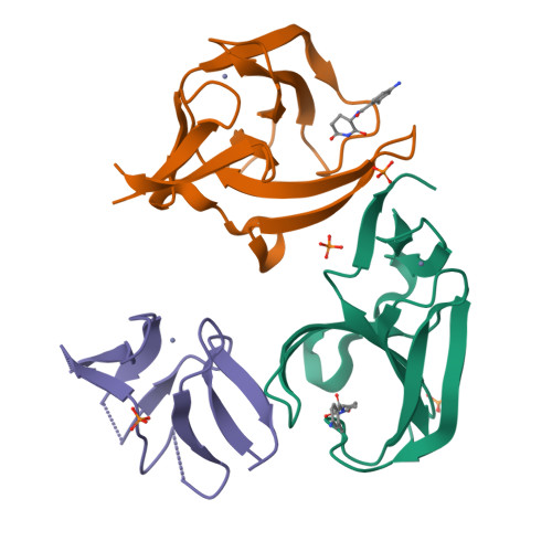 RCSB PDB - 8OU6: Cereblon isoform 4 in complex with novel Benzamide ...