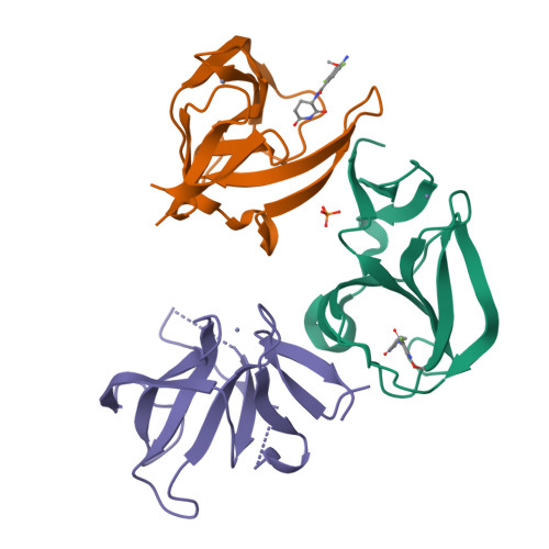 RCSB PDB - 8OUA: Cereblon isoform 4 in complex with novel Benzamide ...