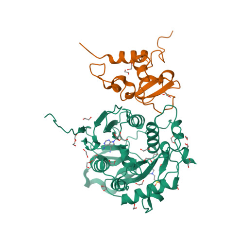 RCSB PDB - 8OV4: SARS-CoV-2 nsp10-16 methyltransferase in complex with ...