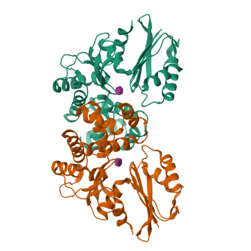 RCSB PDB - 8OW9: Crystal structure of Tannerella forsythia MurNAc ...