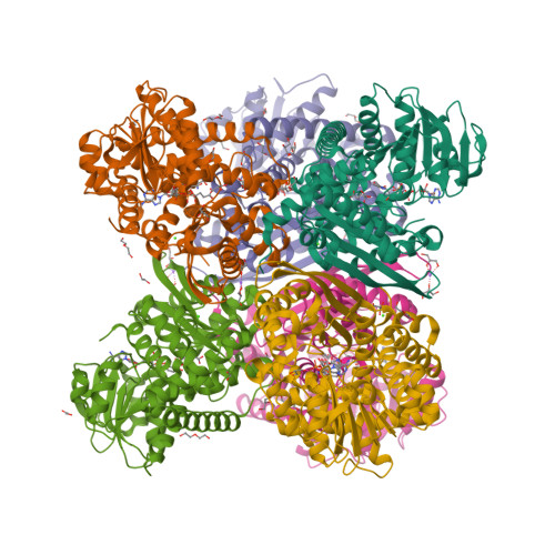 RCSB PDB - 8OWM: Crystal structure of glutamate dehydrogenase 2 from ...