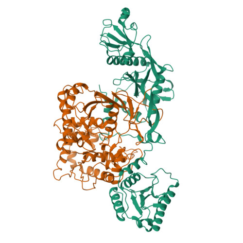 RCSB PDB - 8OZC: cryoEM structure of SPARTA complex heterodimer apo
