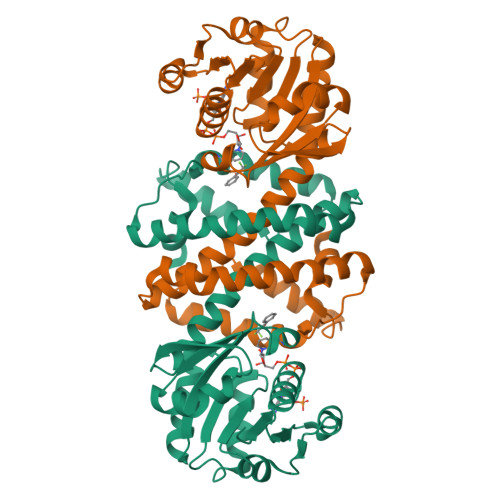 RCSB PDB - 8OZV: Imine Reductase from Ajellomyces dermatitidis in ...