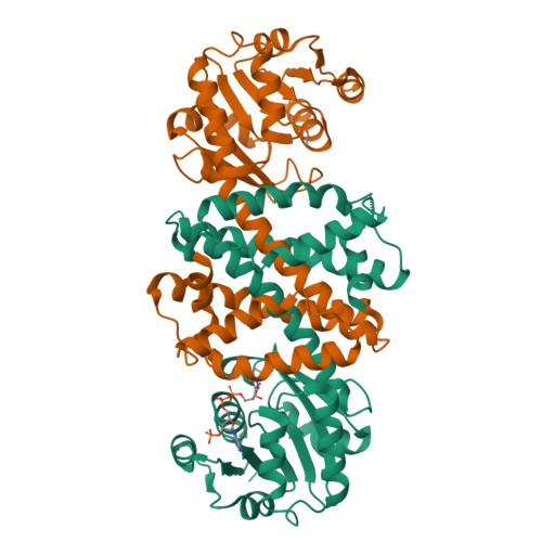 RCSB PDB - 8OZW: Imine Reductase from Ajellomyces dermatitidis in ...