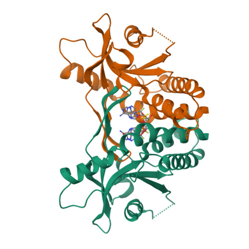 RCSB PDB - 8P01: Crystal structure of human STING ectodomain in complex ...