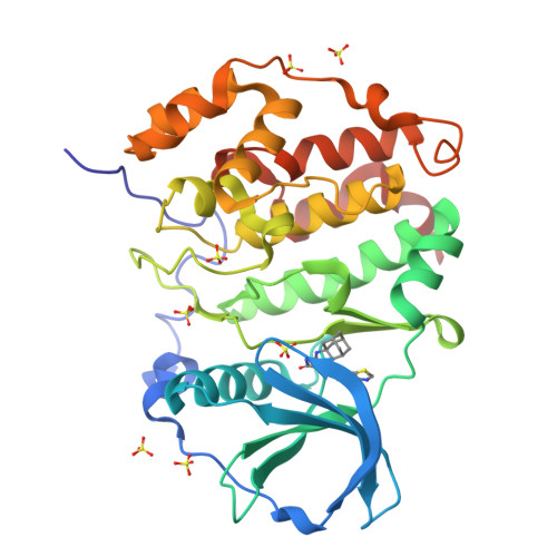 RCSB PDB - 8P05: Crystal structure of human Casein Kinase II subunit ...