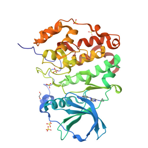 RCSB PDB - 8P07: Crystal structure of human Casein Kinase II subunit ...