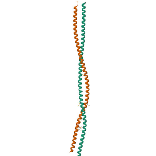 RCSB PDB - 8P0S: Crystal structure HR1 domain of Rho-associated coiled ...