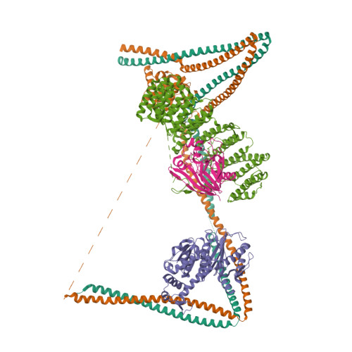 RCSB PDB - 8P0V: Structure of the human Commander complex coiled coils ...