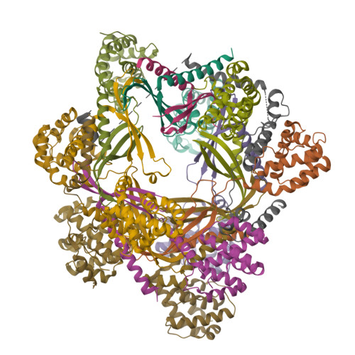 RCSB PDB - 8P0W: Structure of the human Commander complex COMMD ring