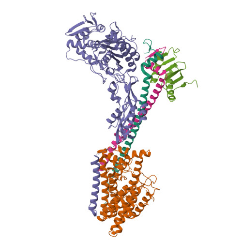 RCSB PDB - 8P1U: Structure of divisome complex FtsWIQLB