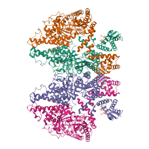 RCSB PDB - 8P2C: Cryo-EM structure of the anaerobic ribonucleotide ...