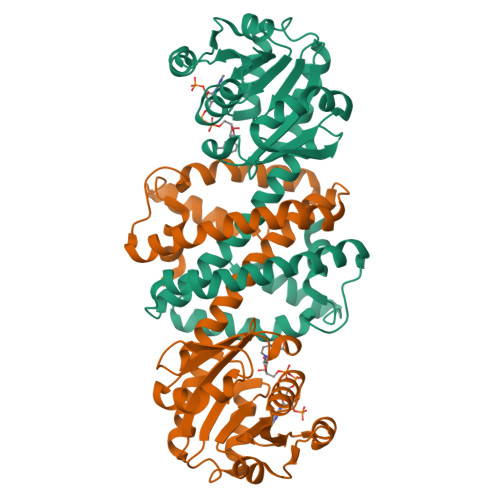 RCSB PDB - 8P2J: Imine Reductase from Ajellomyces dermatitidis in space ...