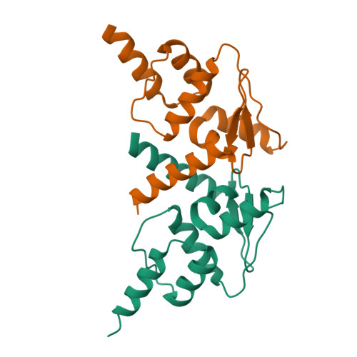 RCSB PDB - 8P2P: Polymeric form of the BTB domain of human ZBTB18