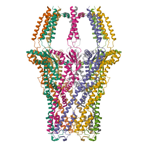 RCSB PDB - 8P3P: Full-length bacterial polysaccharide co-polymerase ...