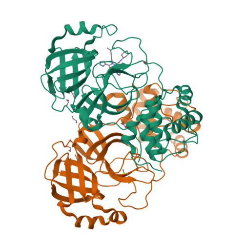 RCSB PDB - 8P56: Crystal structure of the main protease (3CLpro/Mpro ...