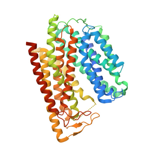 RCSB PDB - 8P6A: cryo-EM structure of human SLC15A4 in outward-open state