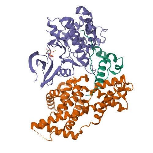 RCSB PDB - 8P6Y: Cryo-EM structure of CAK in complex with nucleotide ...