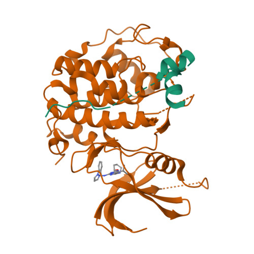 RCSB PDB - 8P7L: Cryo-EM structure of CDK7 subunit of CAK in complex ...