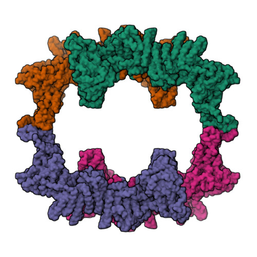 RCSB PDB - 8P83: Cryo-EM structure of full-length human UBR5 (homotetramer)