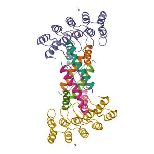 RCSB PDB - 8P9C: Crystal structure of p63-p73 heterotetramer ...