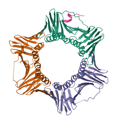 RCSB PDB - 8P9O: PCNA from Chaetomium thermophilum in complex with ...
