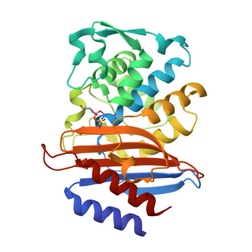 RCSB PDB - 8PCT: Structure of serine-beta-lactamase CTX-M-14 following ...
