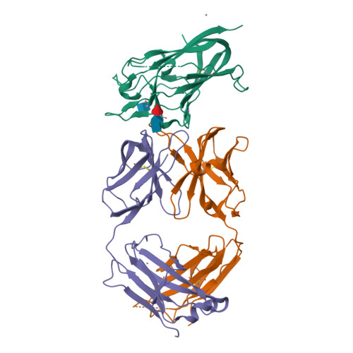 RCSB PDB - 8PE9: Complex between DDR1 DS-like domain and PRTH-101 Fab