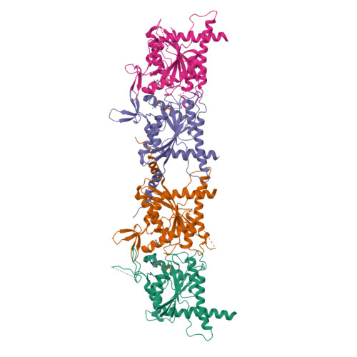 RCSB PDB - 8PFH: Crystal structure of the yeast septin complex Shs1 ...