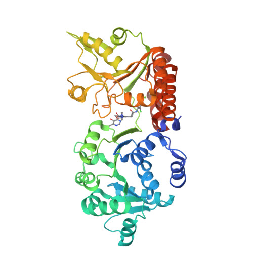 RCSB PDB - 8PFO: Crystal structure of WRN helicase domain in complex ...