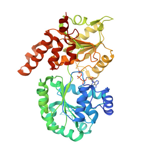 RCSB PDB - 8PFP: Crystal structure of WRN helicase domain in complex ...