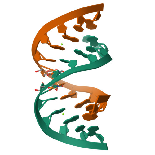 RCSB PDB - 8PFQ: RNA structure with 1-methylpseudouridine, P1 space group