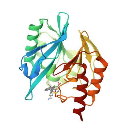 RCSB PDB - 8PG9: Crystal structure of the metallo-beta-lactamase VIM1 ...
