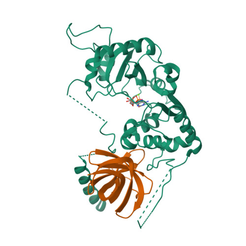 RCSB PDB - 8PHD: Structure of Human Cdc123 bound to domain 3 of eIF2 ...